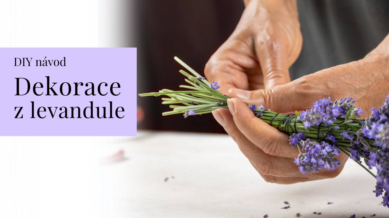 Milujete levanduli a hledáte inspiraci, co si z ní vytvořit? Máme pro vás tip | Stream